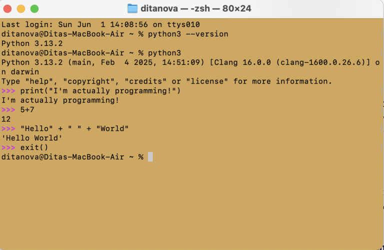 Beginner’s Guide to Python Programming – Part 1 - AI Insights by Dita