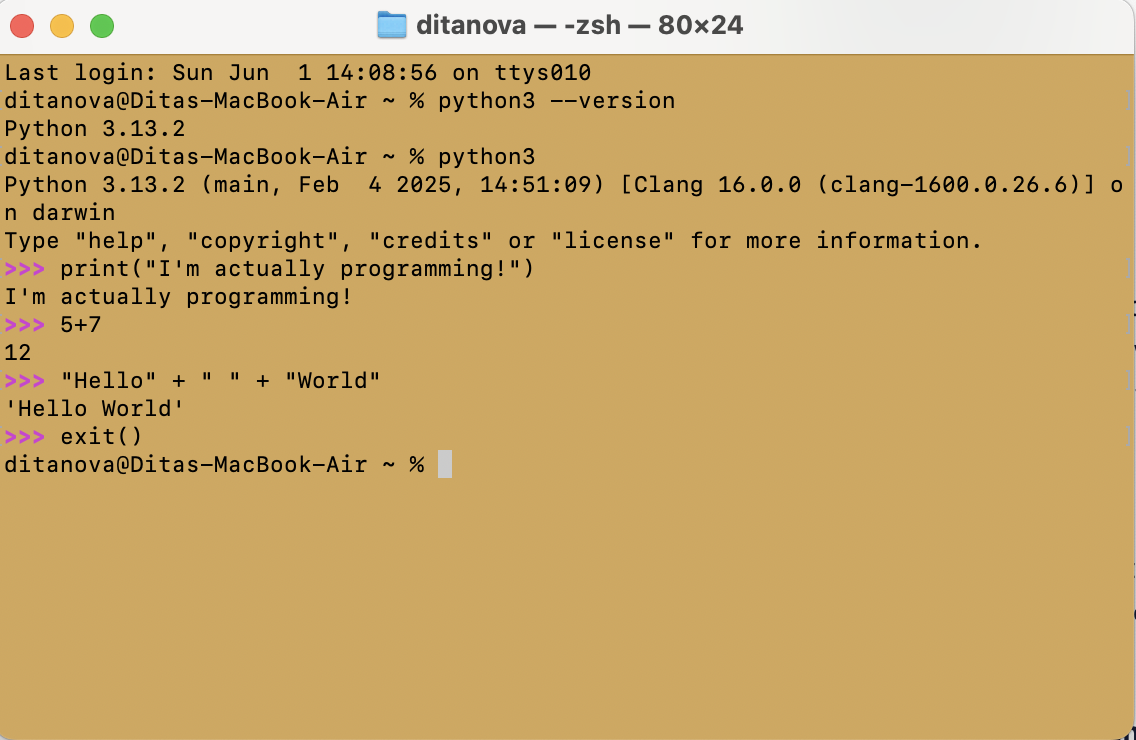 Beginner’s Guide to Python Programming – Part 1 - AI Insights by Dita