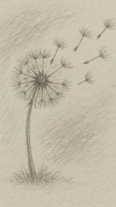 17 Easy Things To Draw That Quiet the Mind and Soothe the Soul 🖤 - AI ...